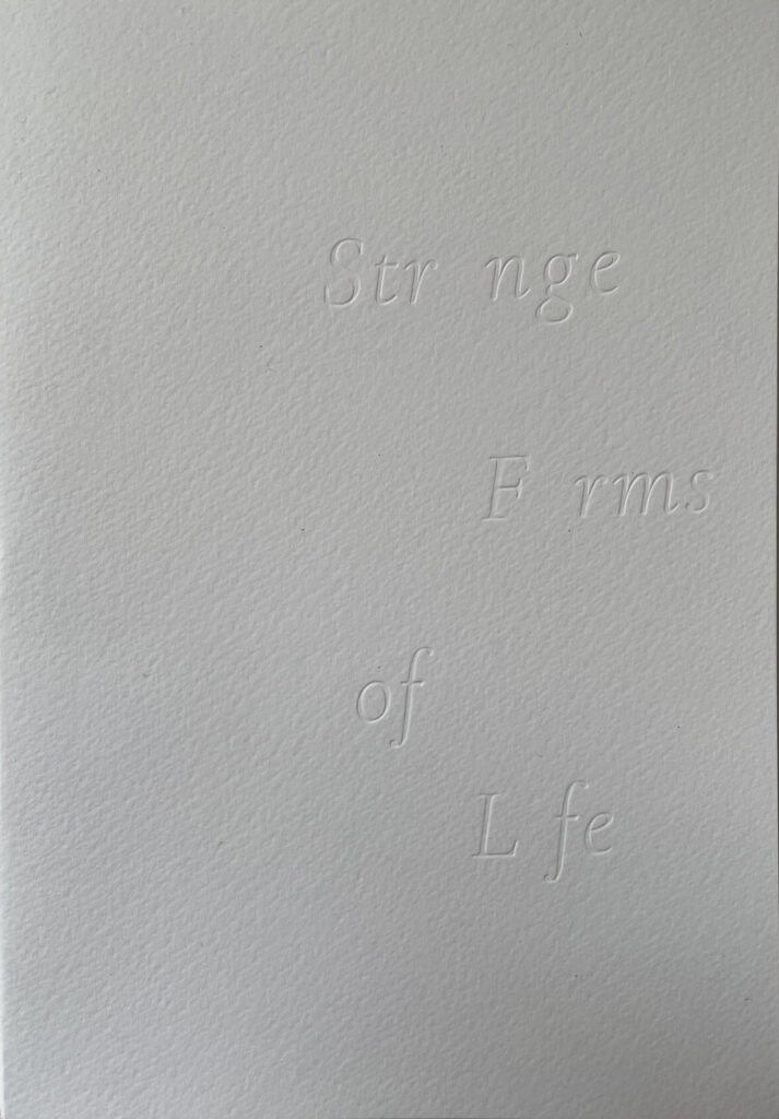 Strange Forms of Life – Suzann Victor